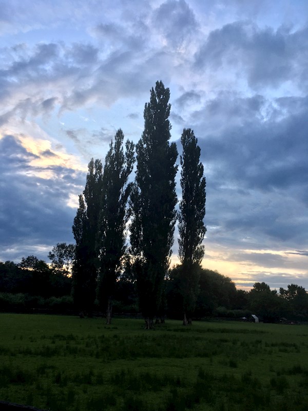 Die PAPPEL... 5.-13.August